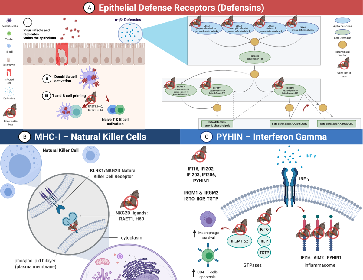 Large-Scale Genome Sampling Reveals Unique Immunity and Metabolic ...
