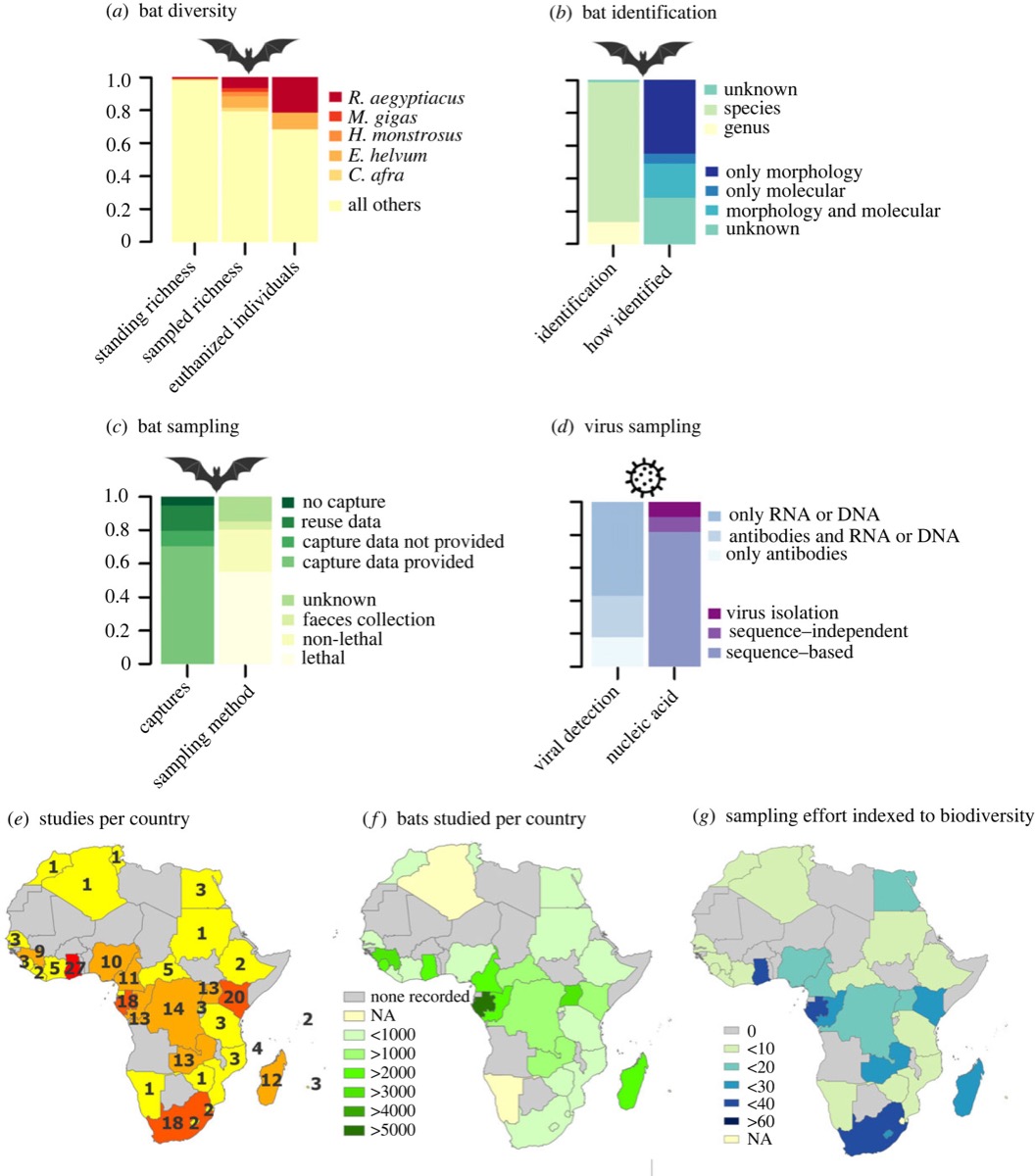 Robust evidence for bats as reservoir hosts is lacking in most African ...