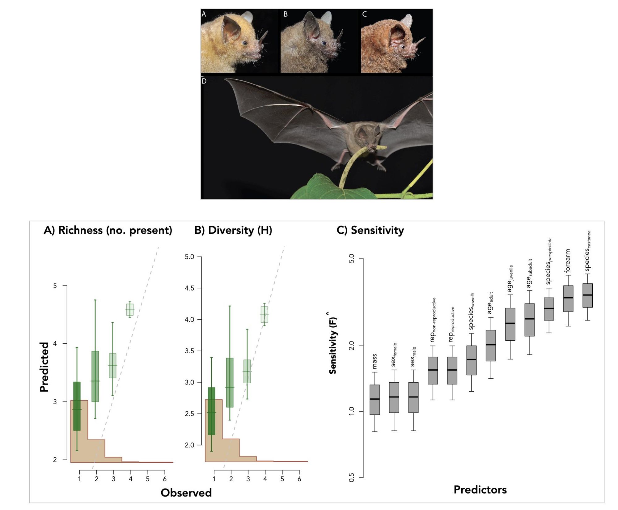 Frugivore traits predict plant-frugivore interactions using generalized joint attribute modeling ...