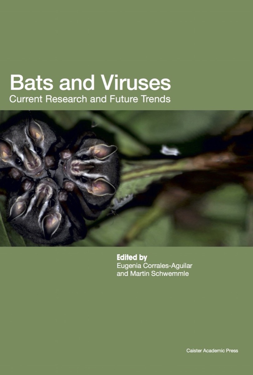 Bats and Viruses: Current Research and Future Trends | Dávalos Lab