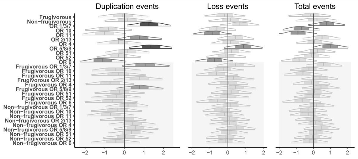 Species tree disequilibrium positively misleads models of gene family ...